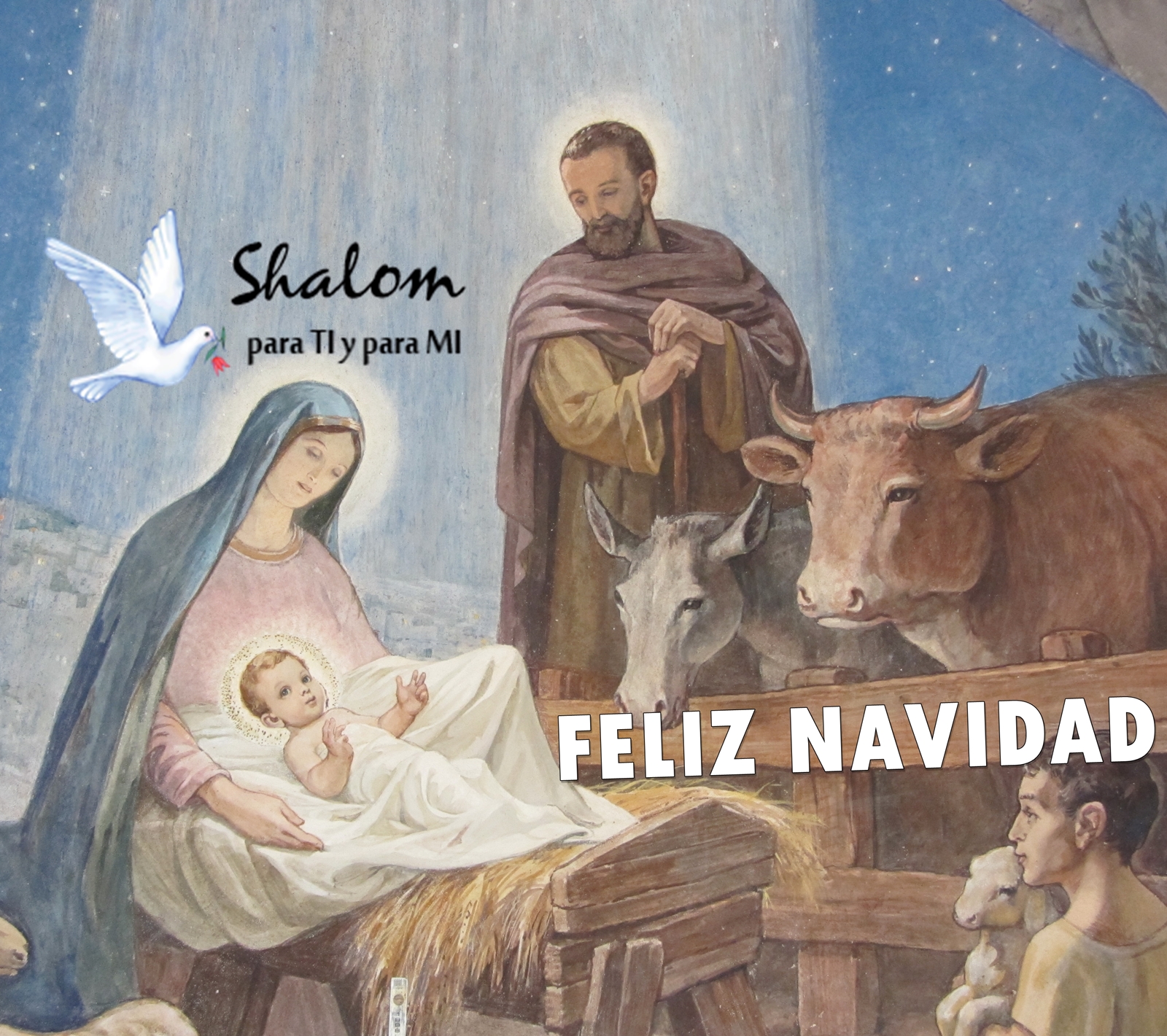 Oración de Gracias por el Nacimiento del Niño Dios.- – Shalom para Ti y ...